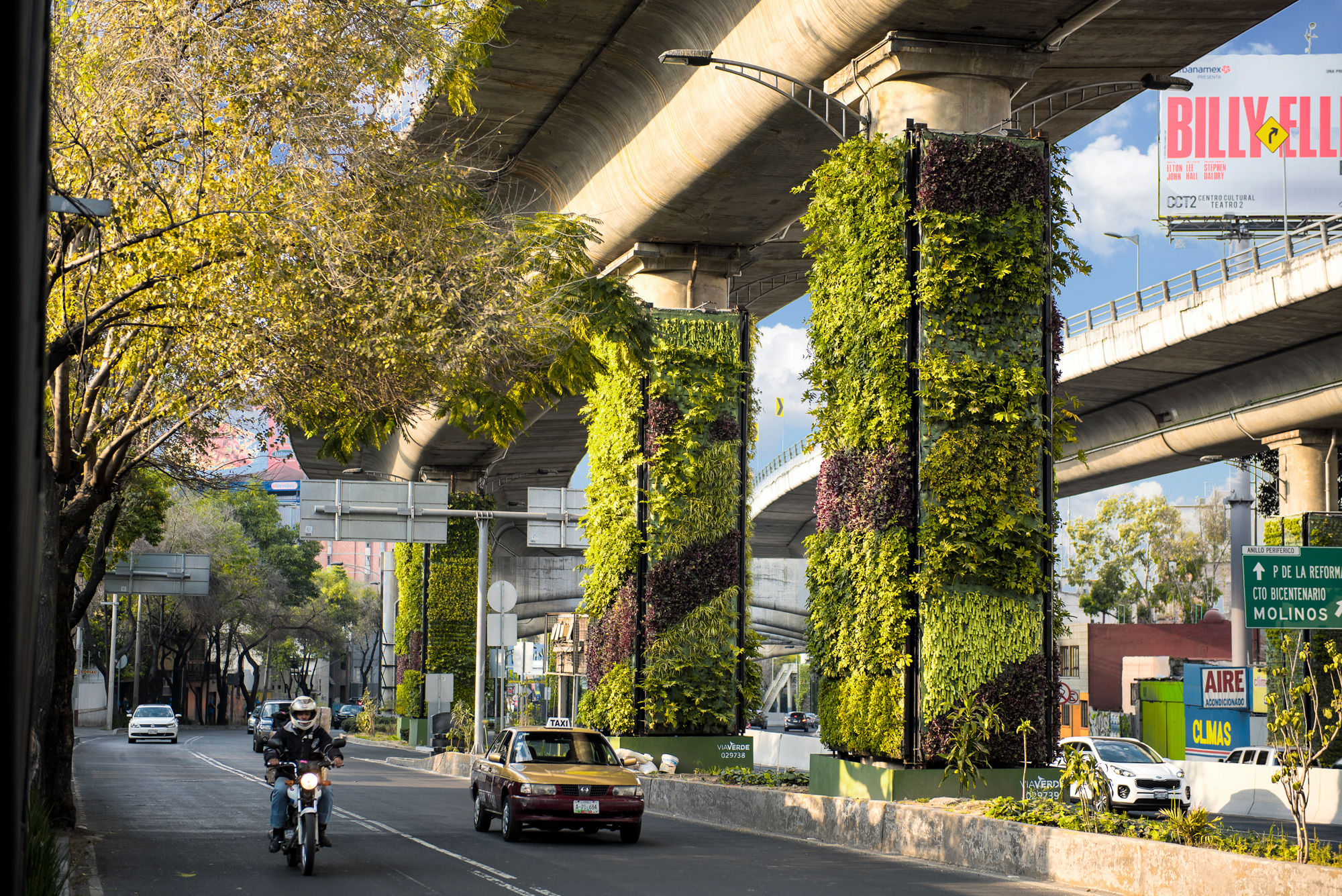 WATCH: Mexico is Transforming Concrete into Vertical Gardens