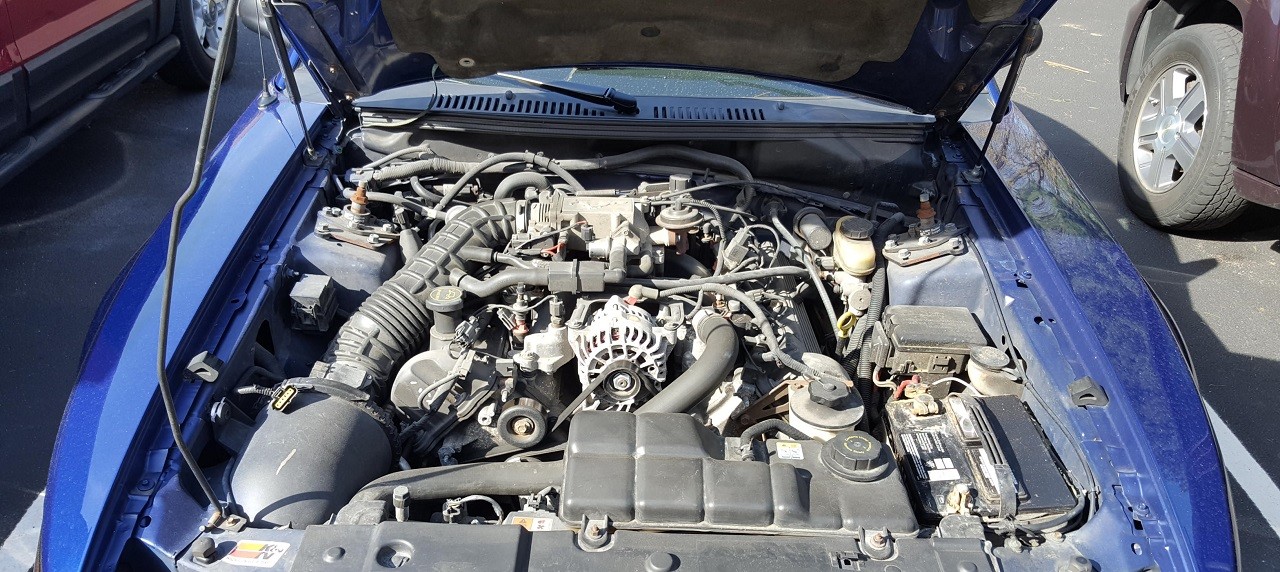 How to Clean Your Engine Bay
