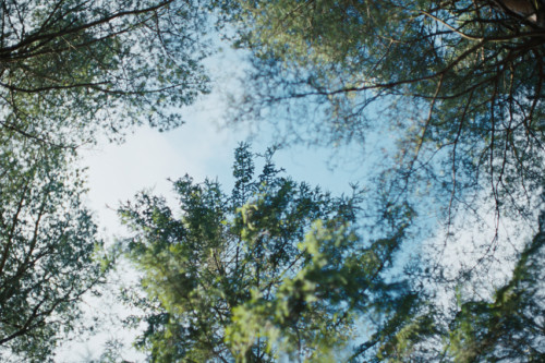 Changan PH unleashes CS55 Plus