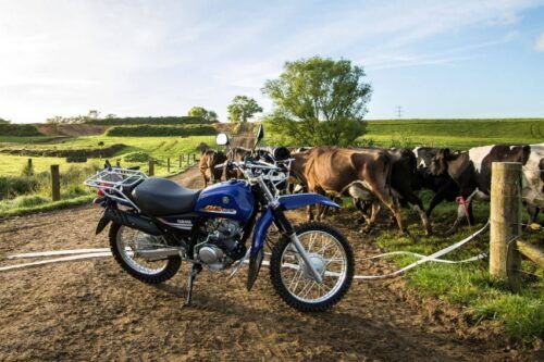 Yamaha AG125 Trail Bergaya Oldschool buat Dipakai di Peternakan